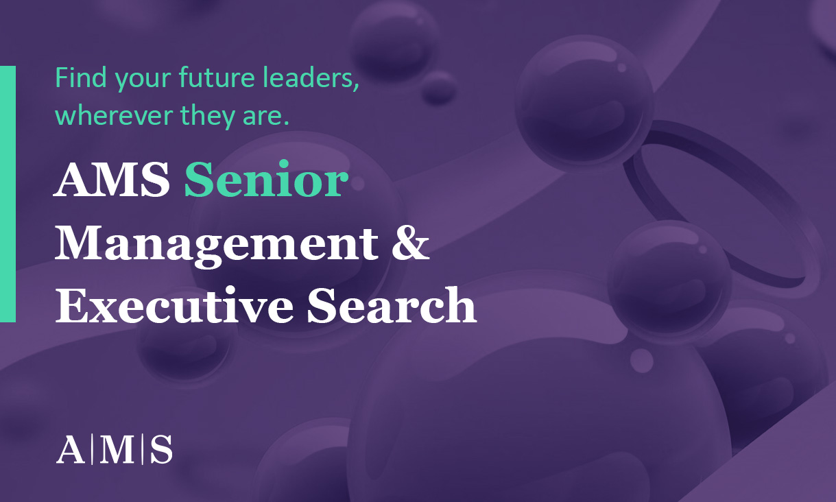 AMS Senior Management & Executive Search - AMS